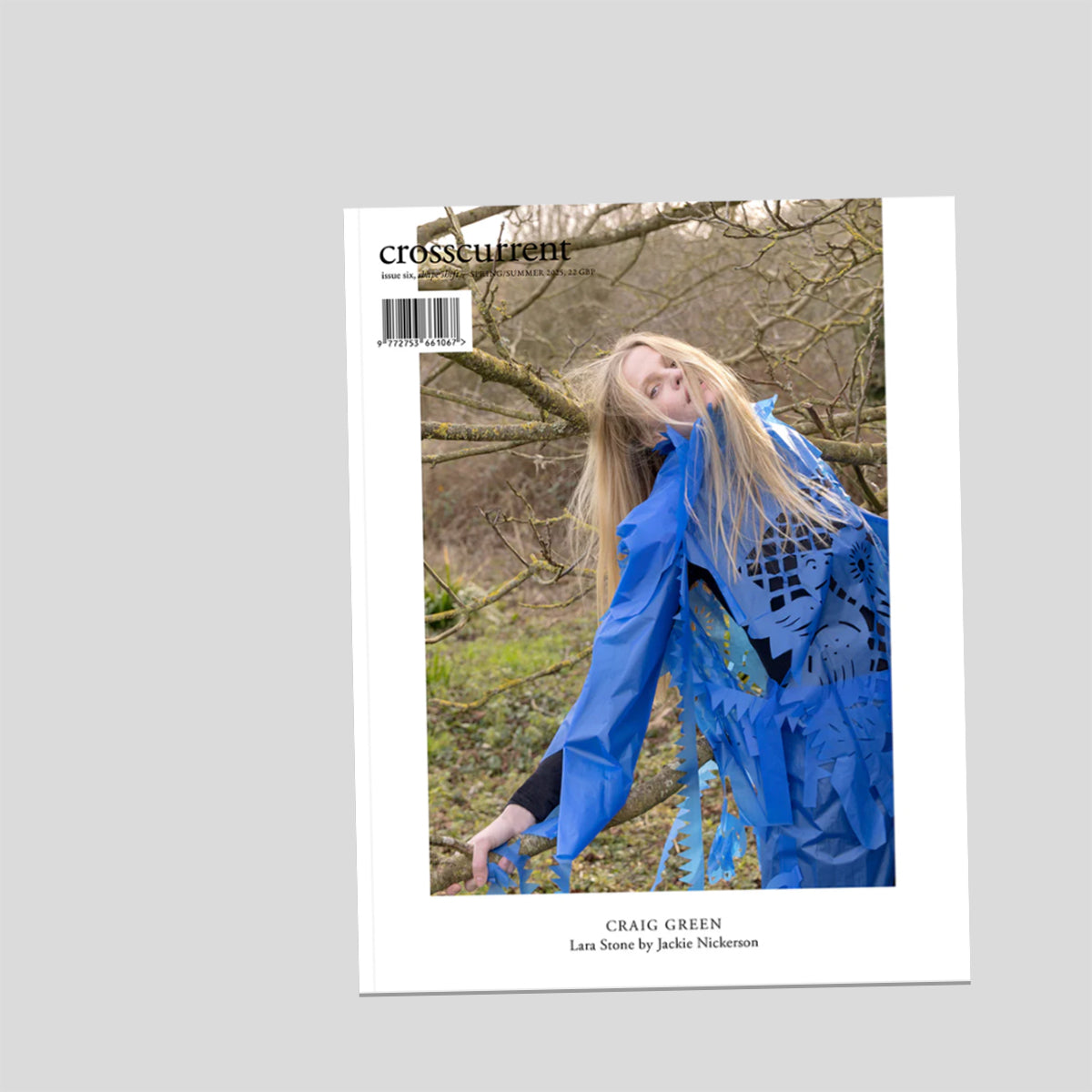 Crosscurrent #6 – Cahier Central