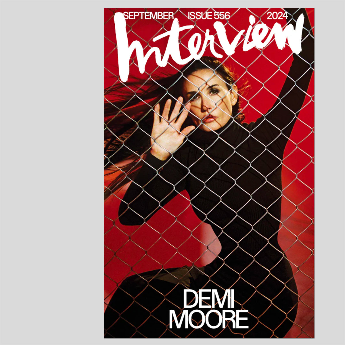 Interview #556 – Cahier Central