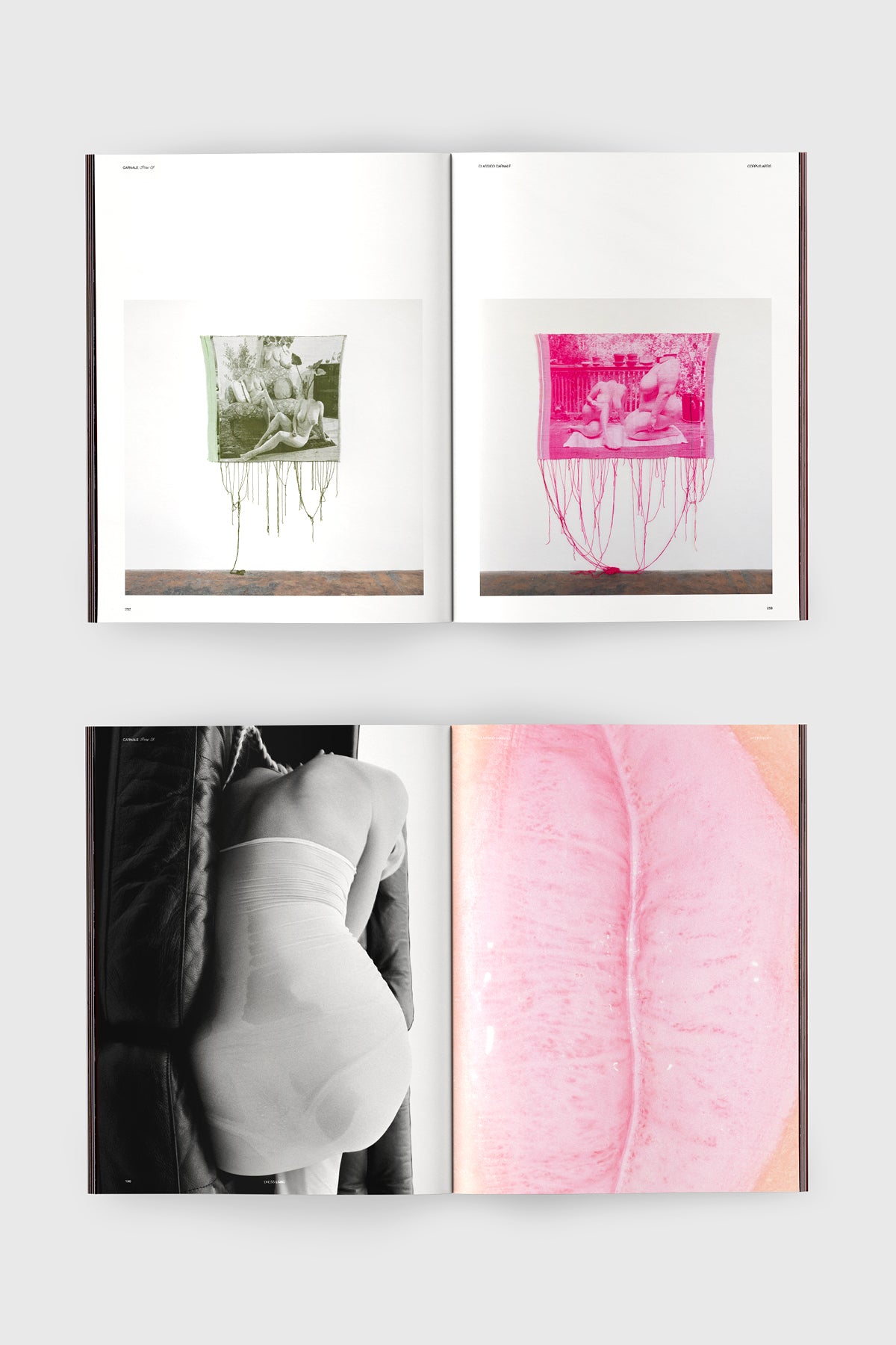 Carnale #8 – Cahier Central