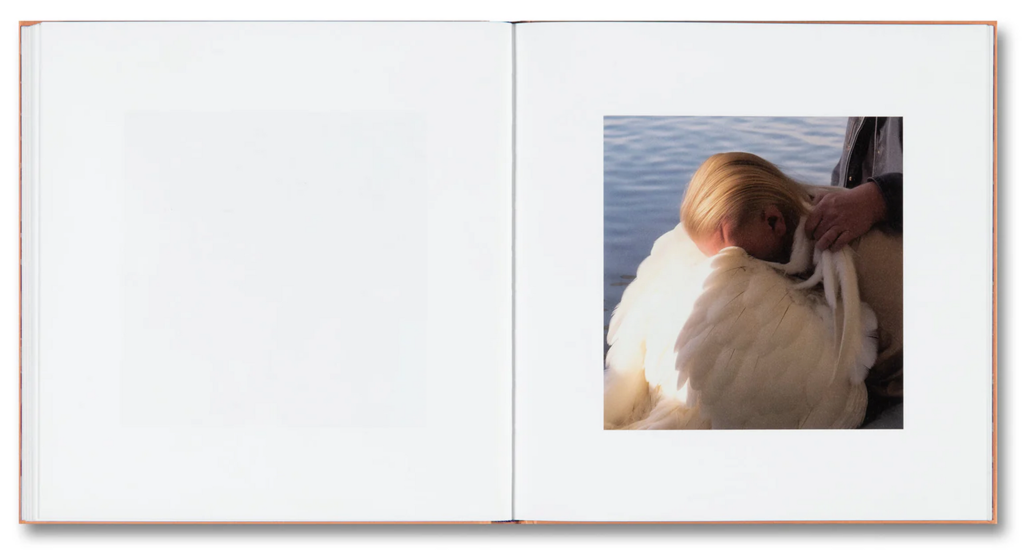 Cursed - Charlie Engman – Cahier Central