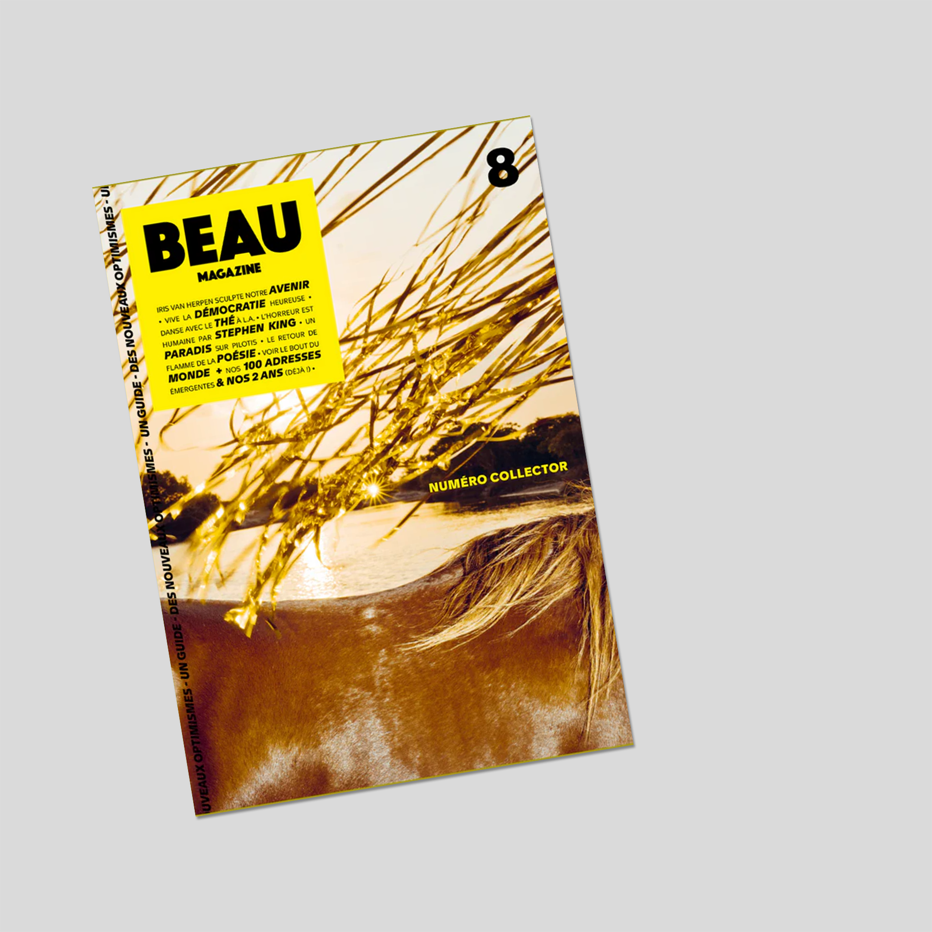 BEAU Magazine #8 – Cahier Central