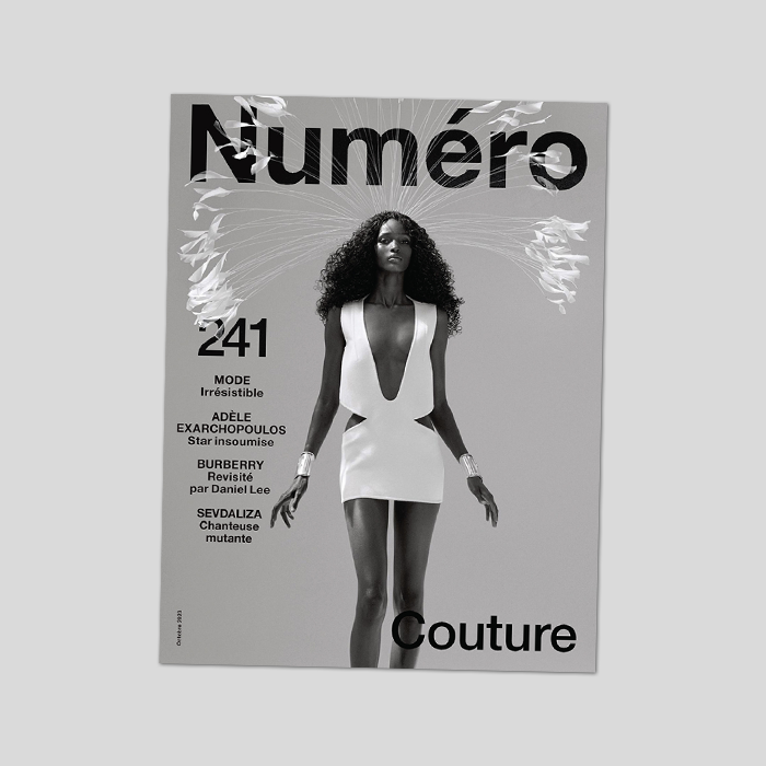 Numéro #241 – Cahier Central
