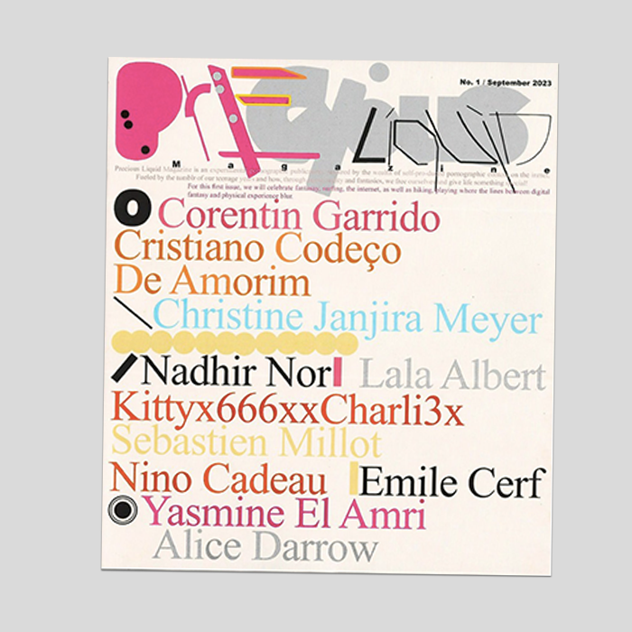 Precious liquid magazine #1 – Cahier Central