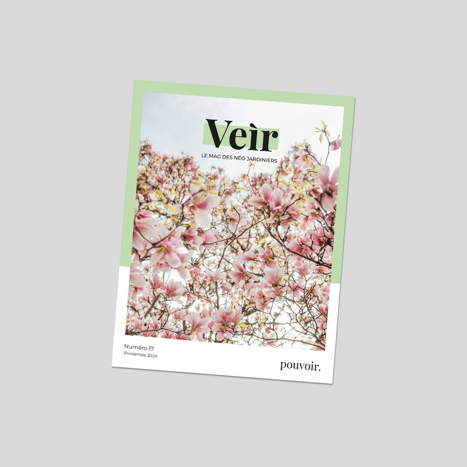 Veir #17 – Cahier Central